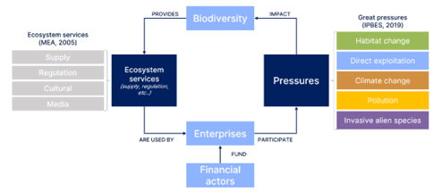 Biodiversity: from urgency to action - Eiffel IG