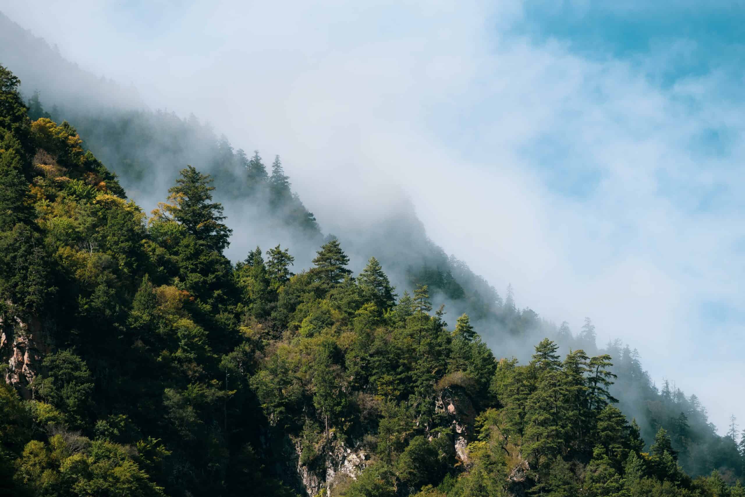 What future for carbon capture? - Eiffel IG