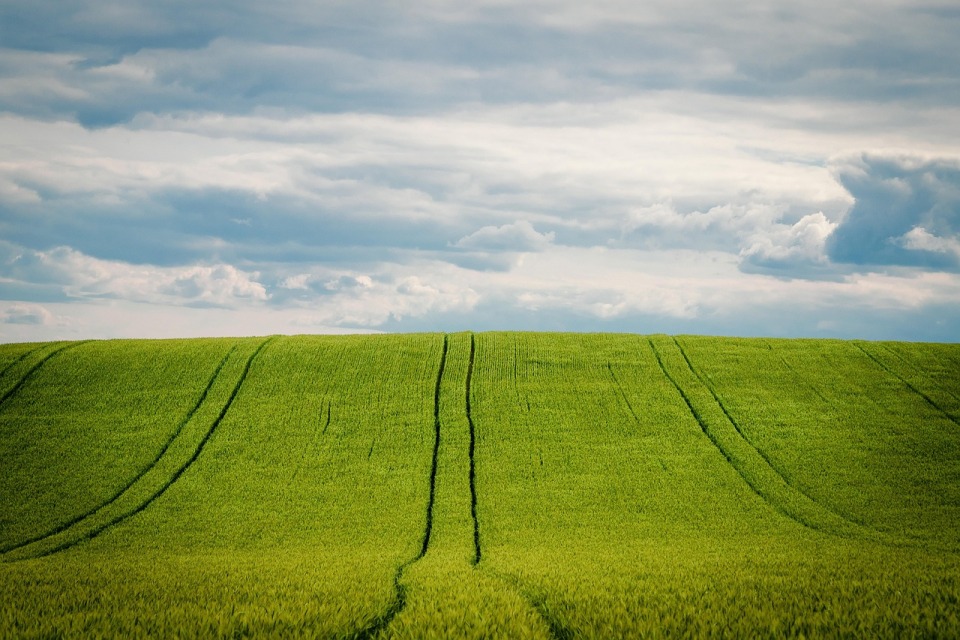 Evergreen Agricultural Enterprises - Eiffel IG