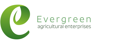 Evergreen Agricultural Enterprises - Eiffel IG